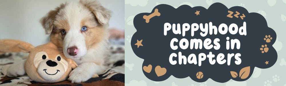Puppyhood in Chapters: Understanding Their Emotional Stages – riffraffpets