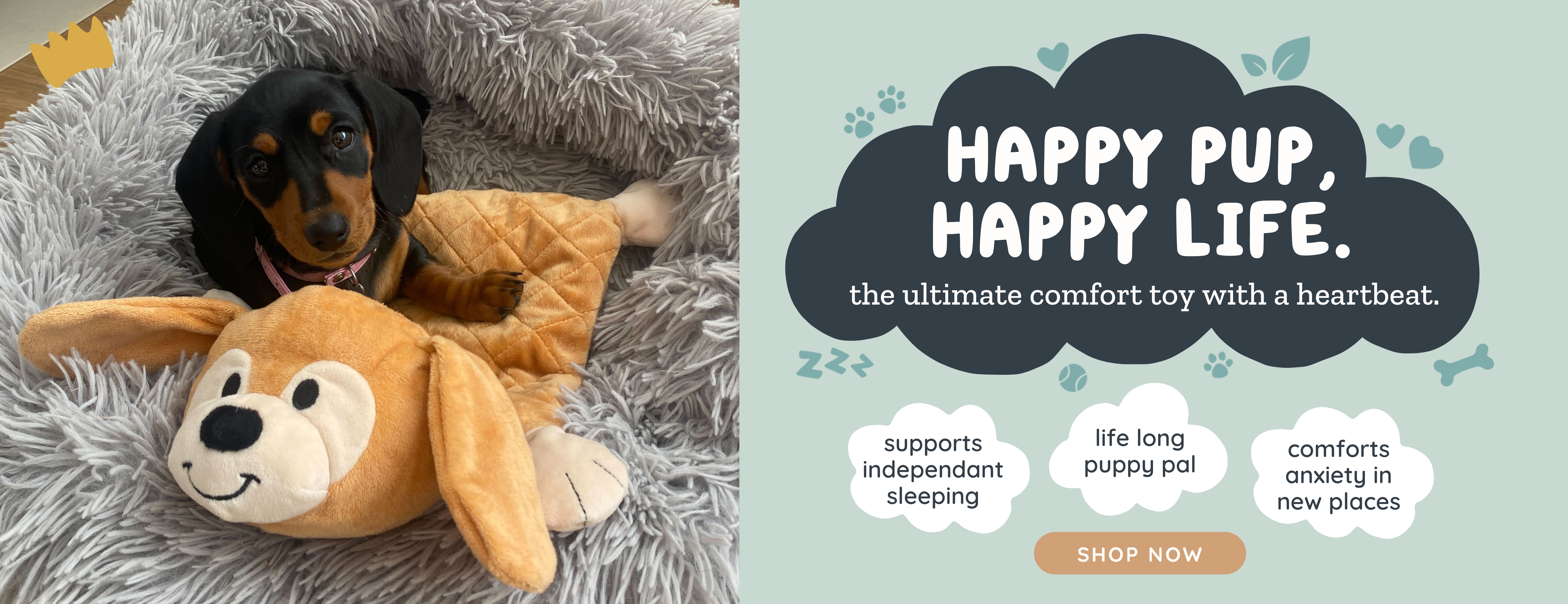 Riff Raff Pets - Perfect Companion for Your Furry Friend – riffraffpets