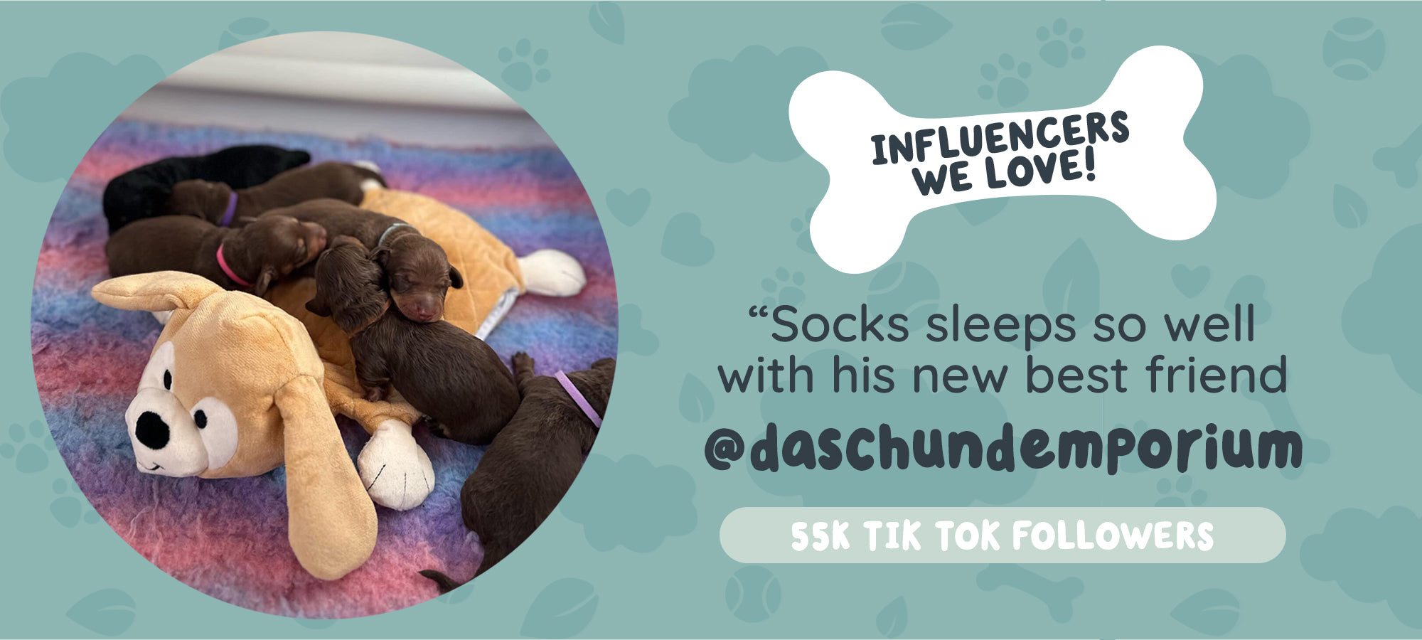 Riff Raff Pets - Perfect Companion for Your Furry Friend – riffraffpets