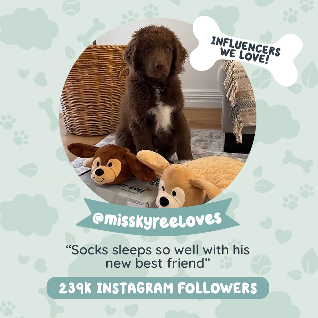 Riff Raff Pets - Perfect Companion for Your Furry Friend – riffraffpets